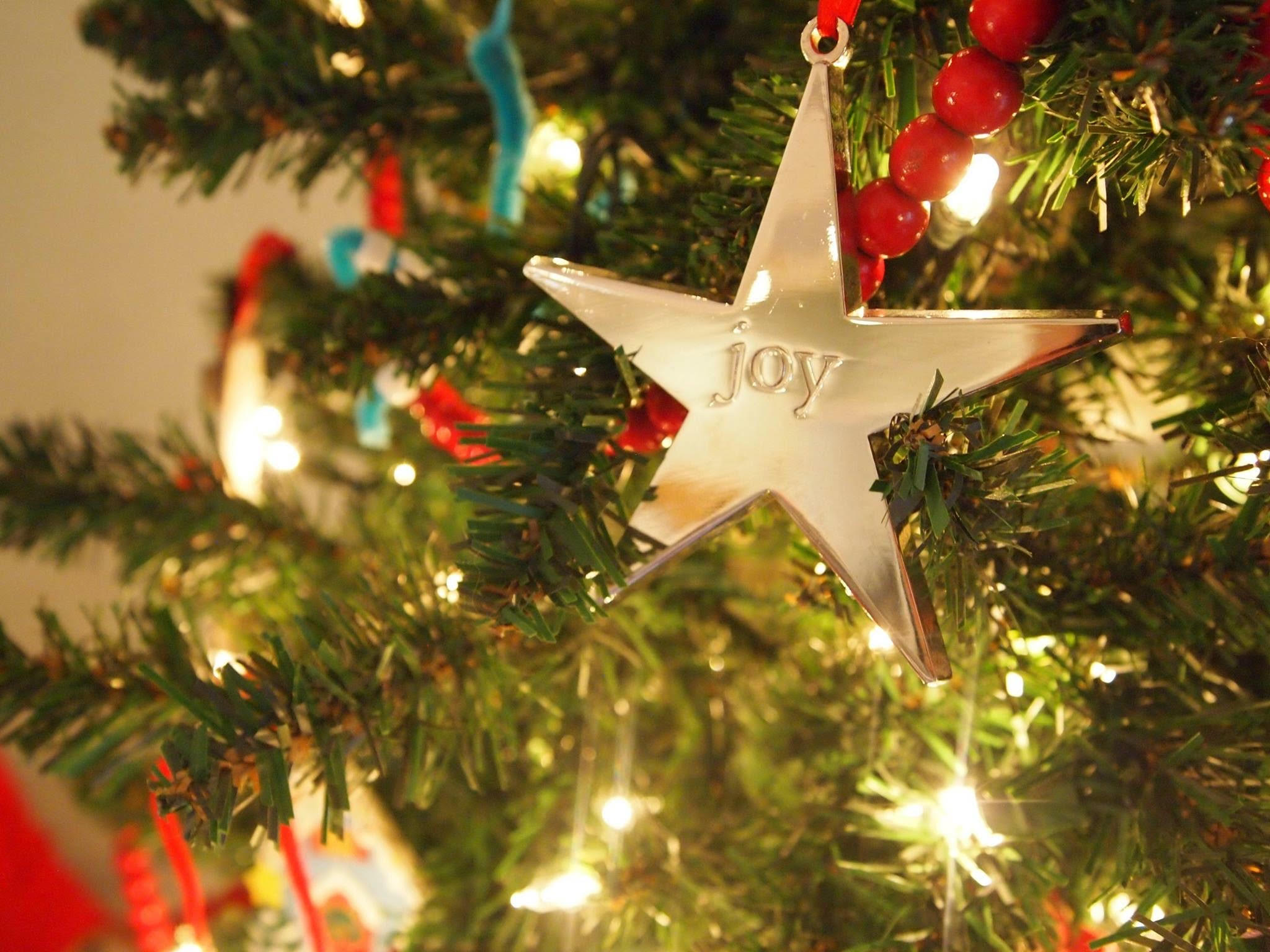 Everyday Adventures: The Star of Christmas